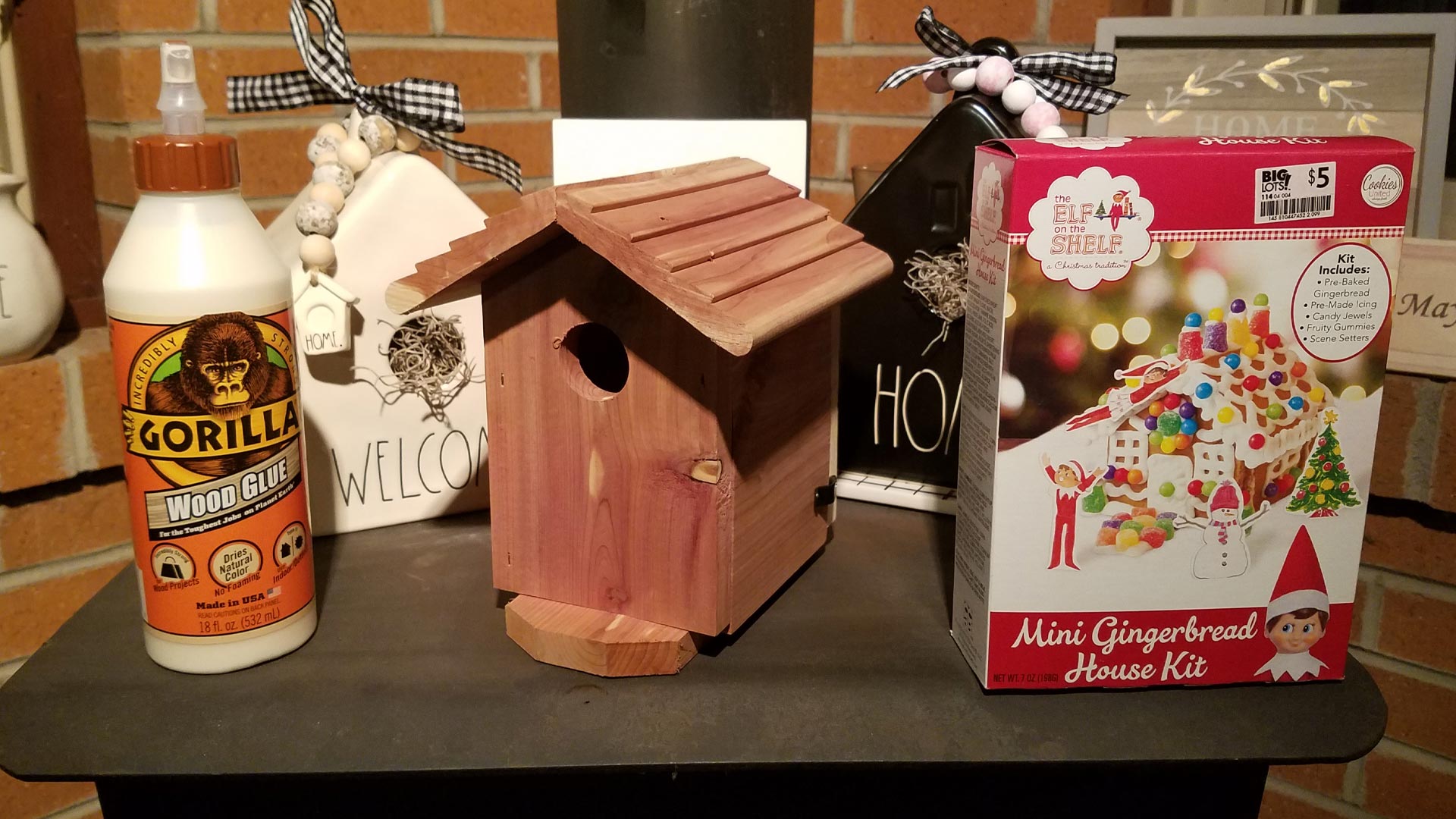 Sophia’s Candy Bird Home – Watching birds in a candy house