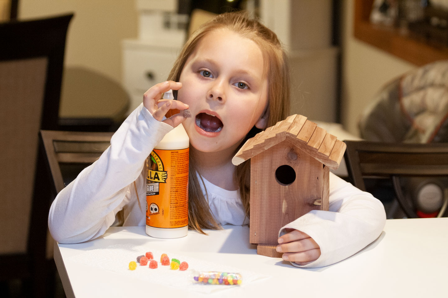 Building a Candy Birdhouse – Sophia’s Candy Bird Home