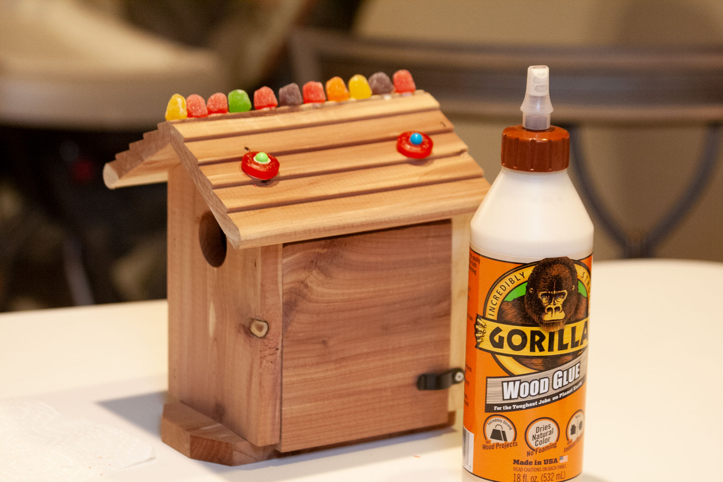 Building a Candy Birdhouse – Sophia’s Candy Bird Home