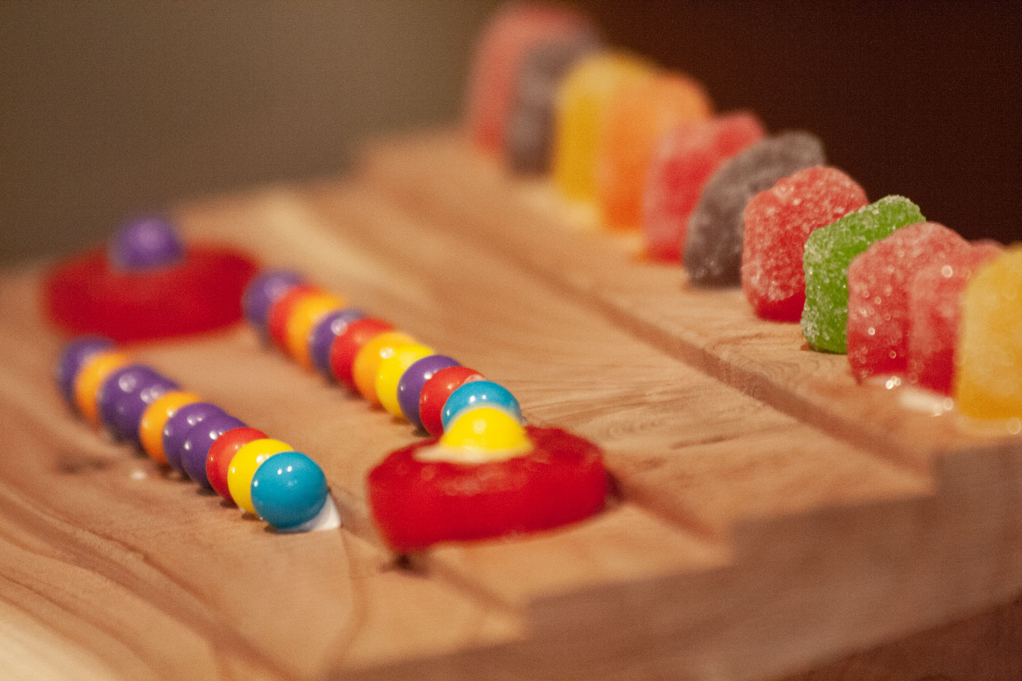 Building a Candy Birdhouse – Sophia’s Candy Bird Home