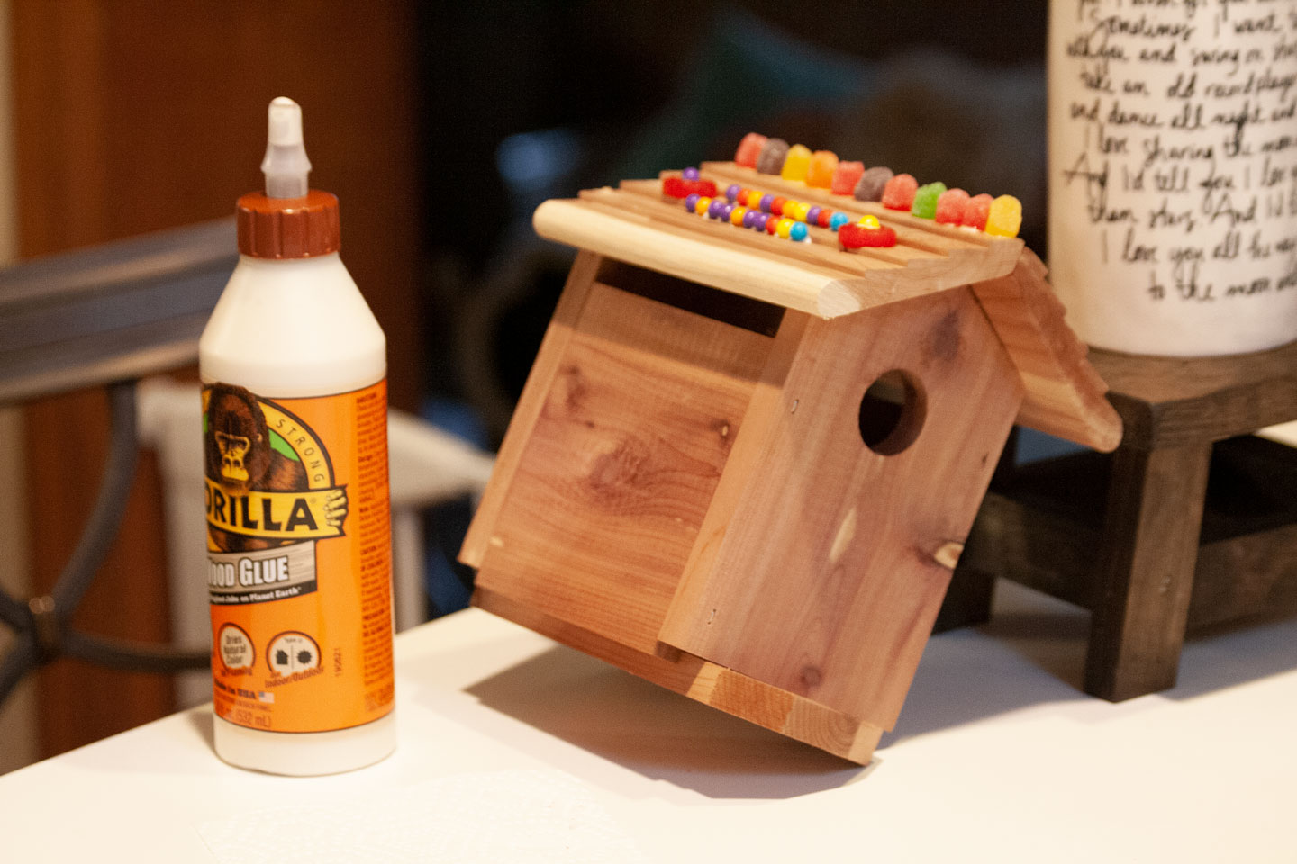Building a Candy Birdhouse – Sophia’s Candy Bird Home