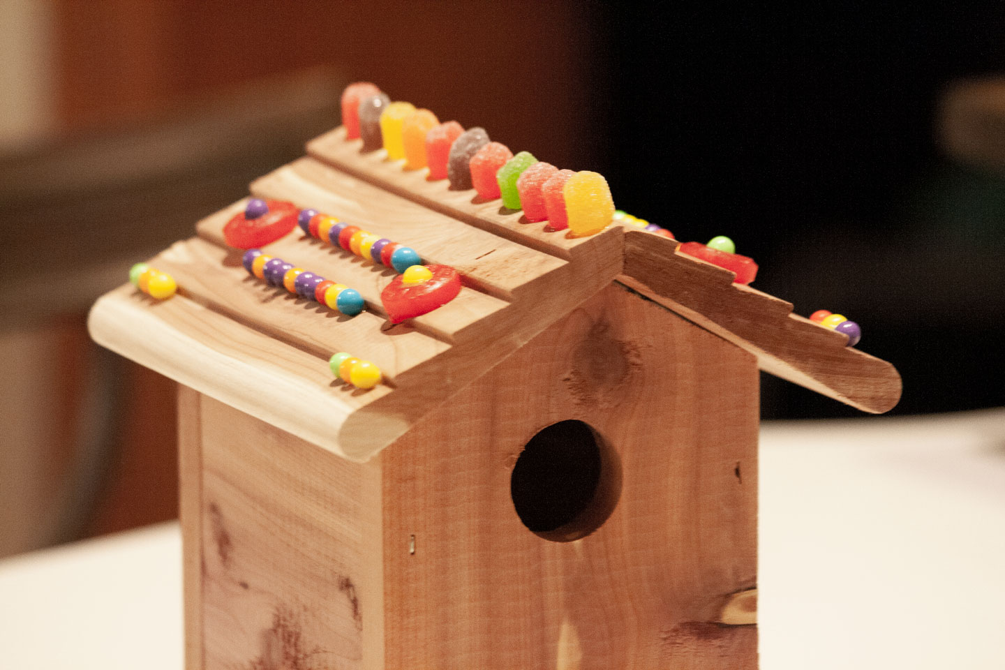 Building a Candy Birdhouse – Sophia’s Candy Bird Home